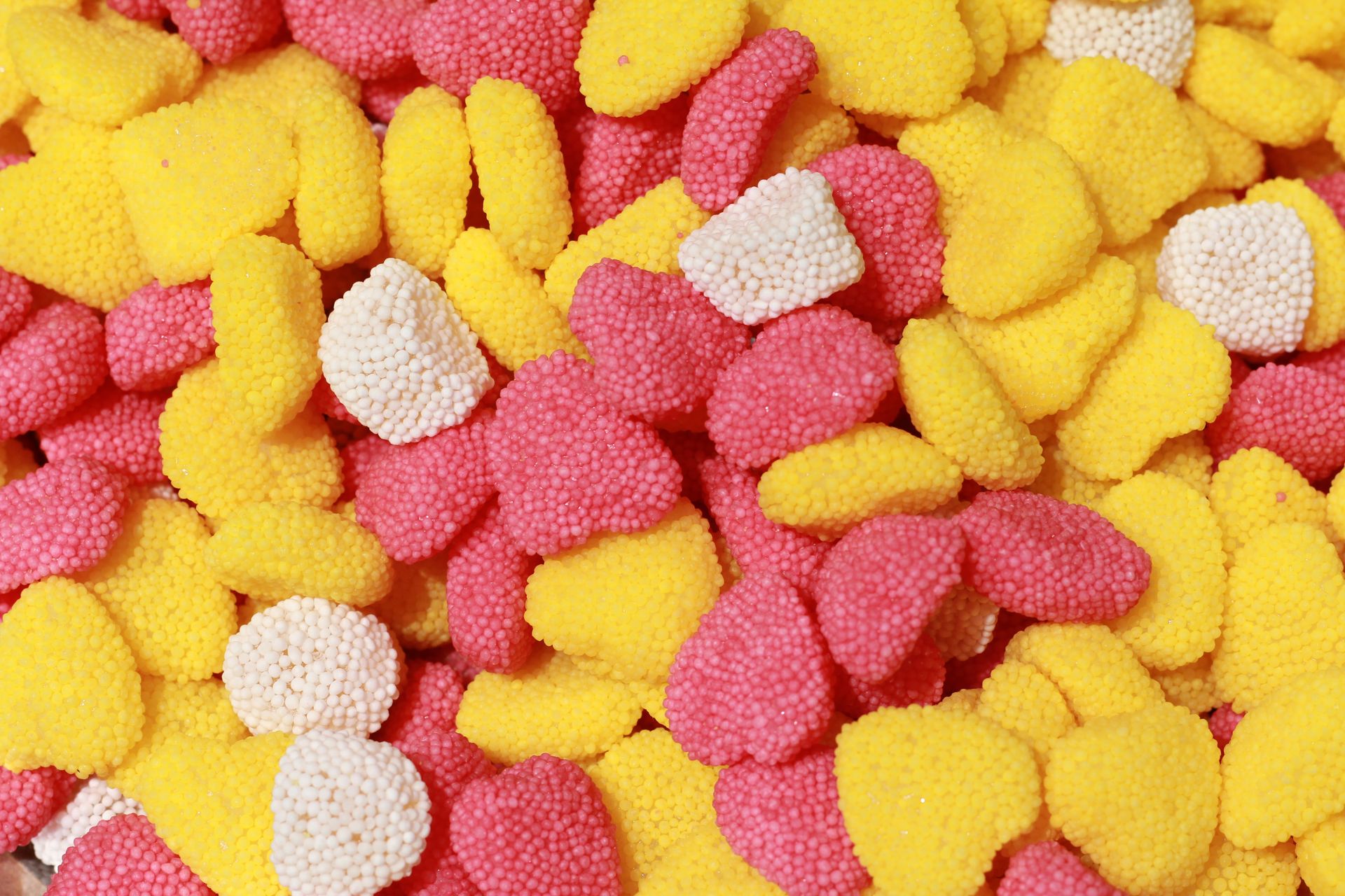 Gummy Drying Trays | Food Grade Curing Equipment